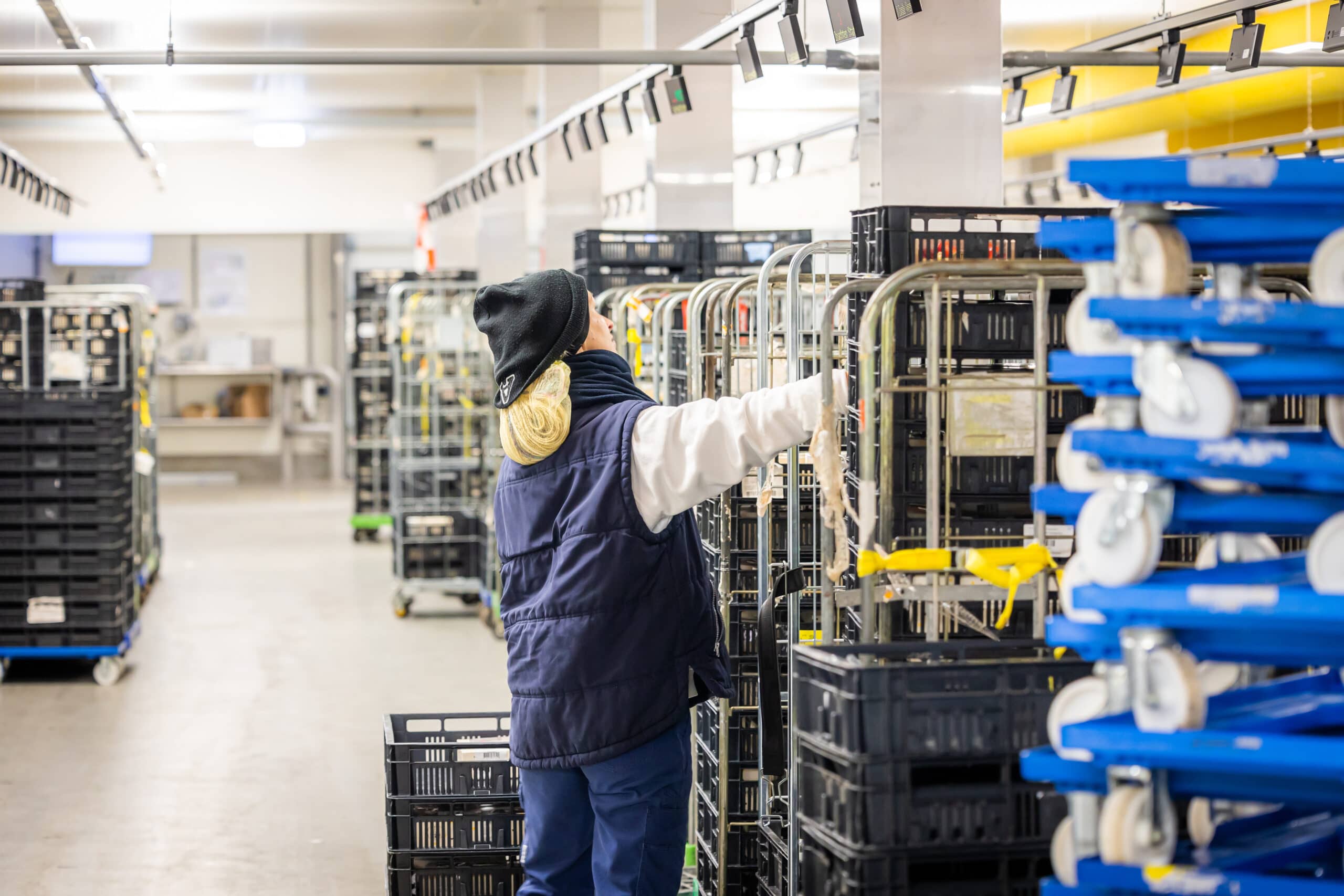 Paperless Dispatch solutions for wholesale bakeries