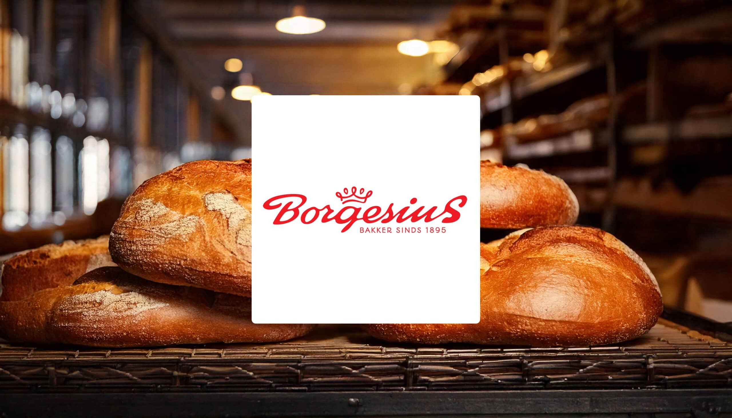 Performance Dashboard as a solution for Borgesius