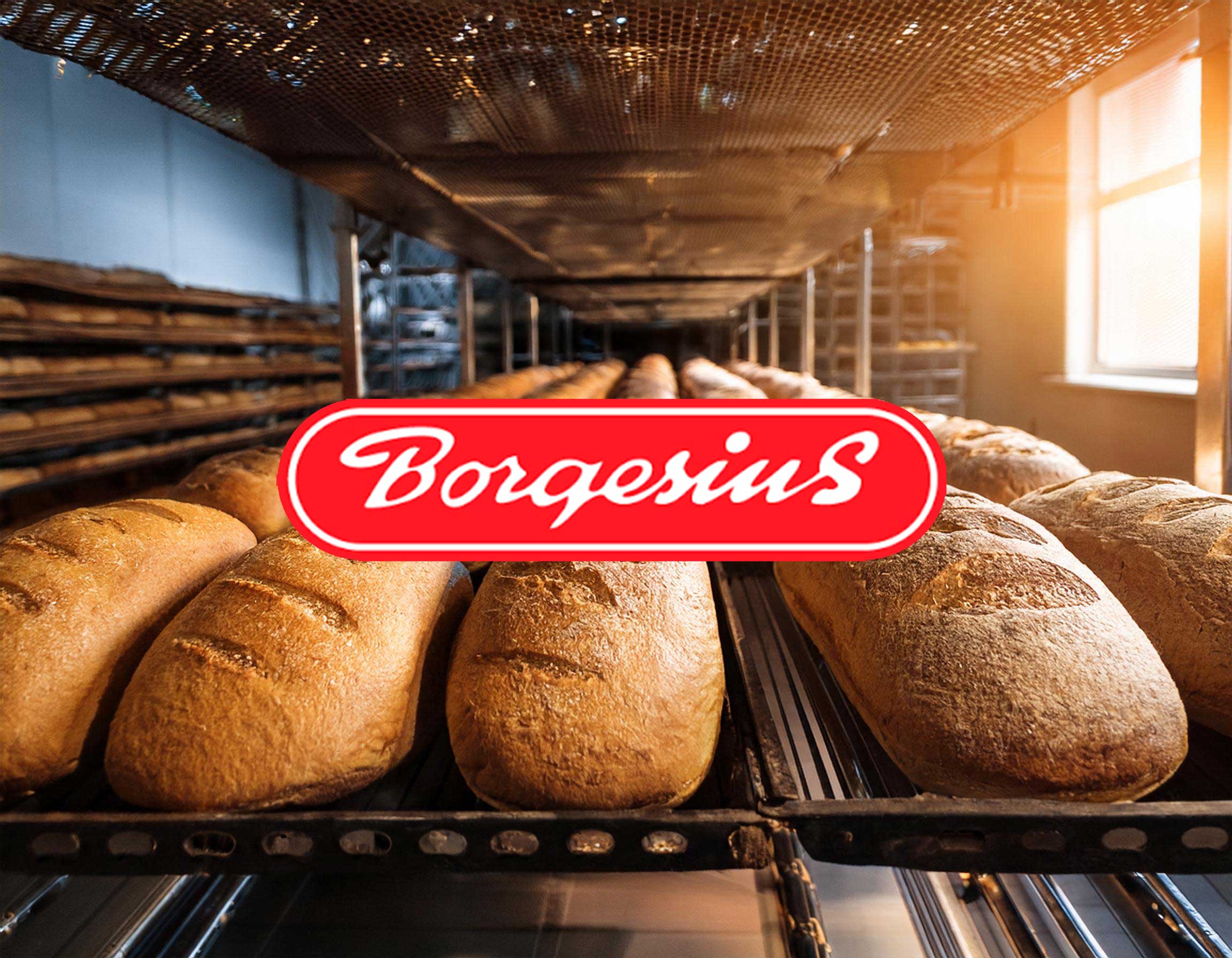 Performance Dashboard as a solution for Borgesius