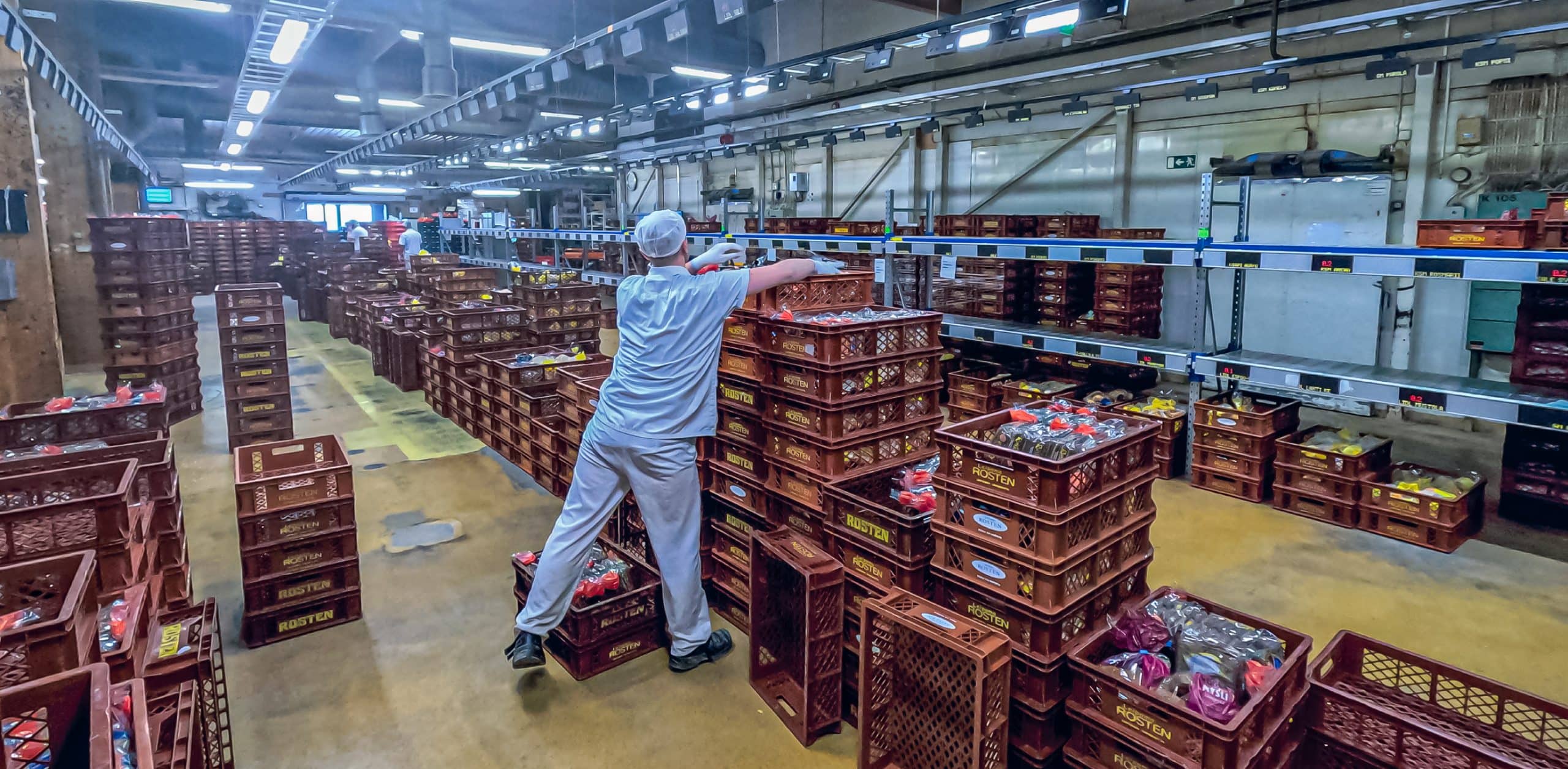 Pick to Light - Pcdata BV